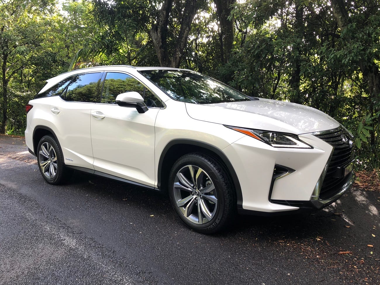 2018 Lexus RX L Launch Review - AnyAuto