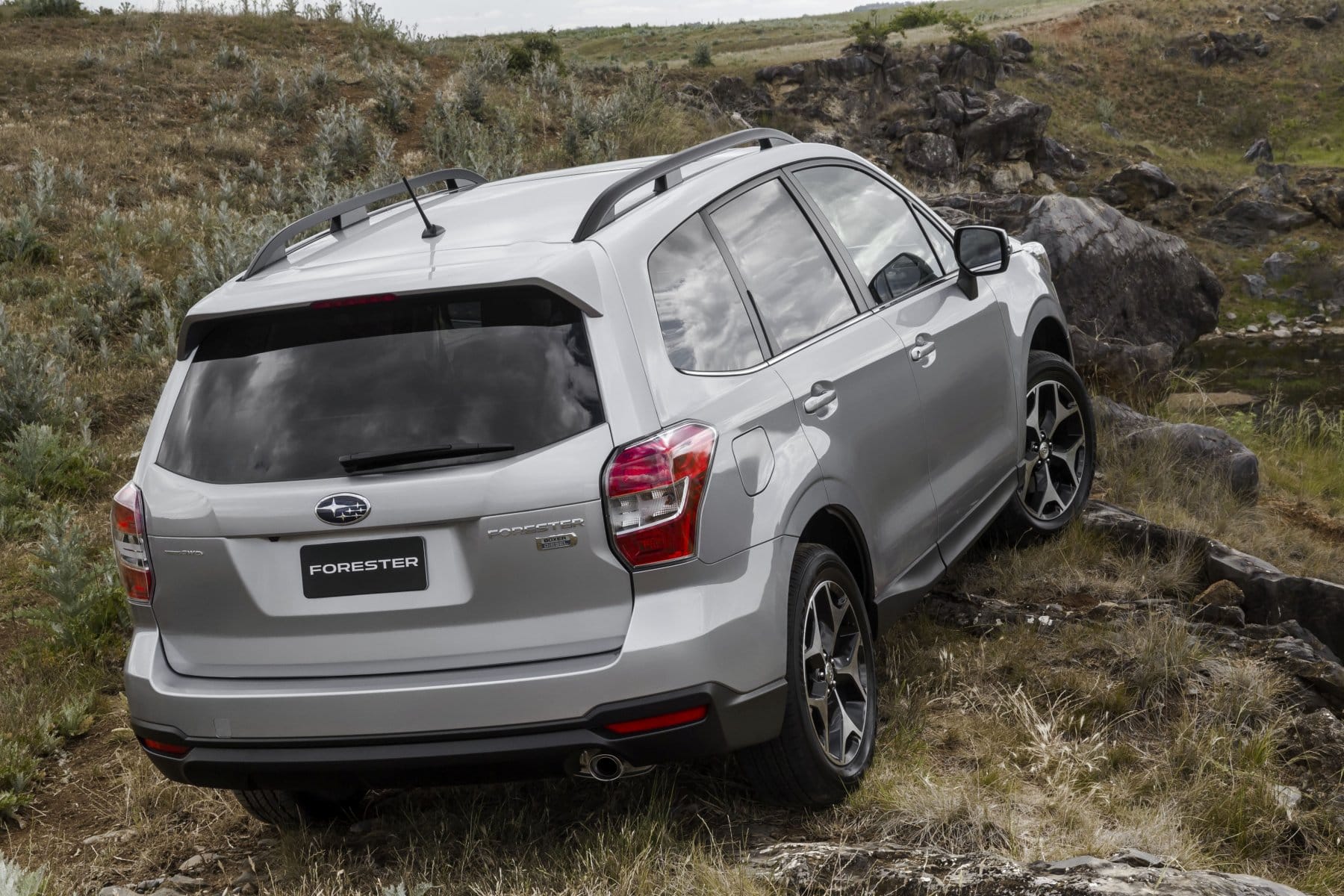 Subaru sells its 300,000 Forester in Australia - AnyAuto