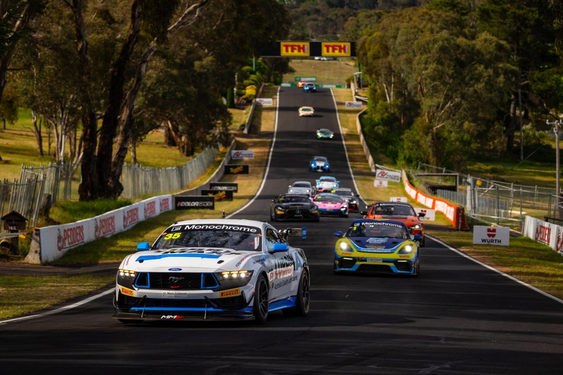 Ford Mustang wins Bathurst - AnyAuto